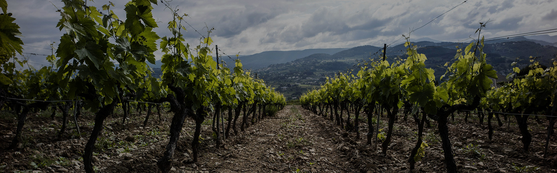 Contact - Domaines Bunan